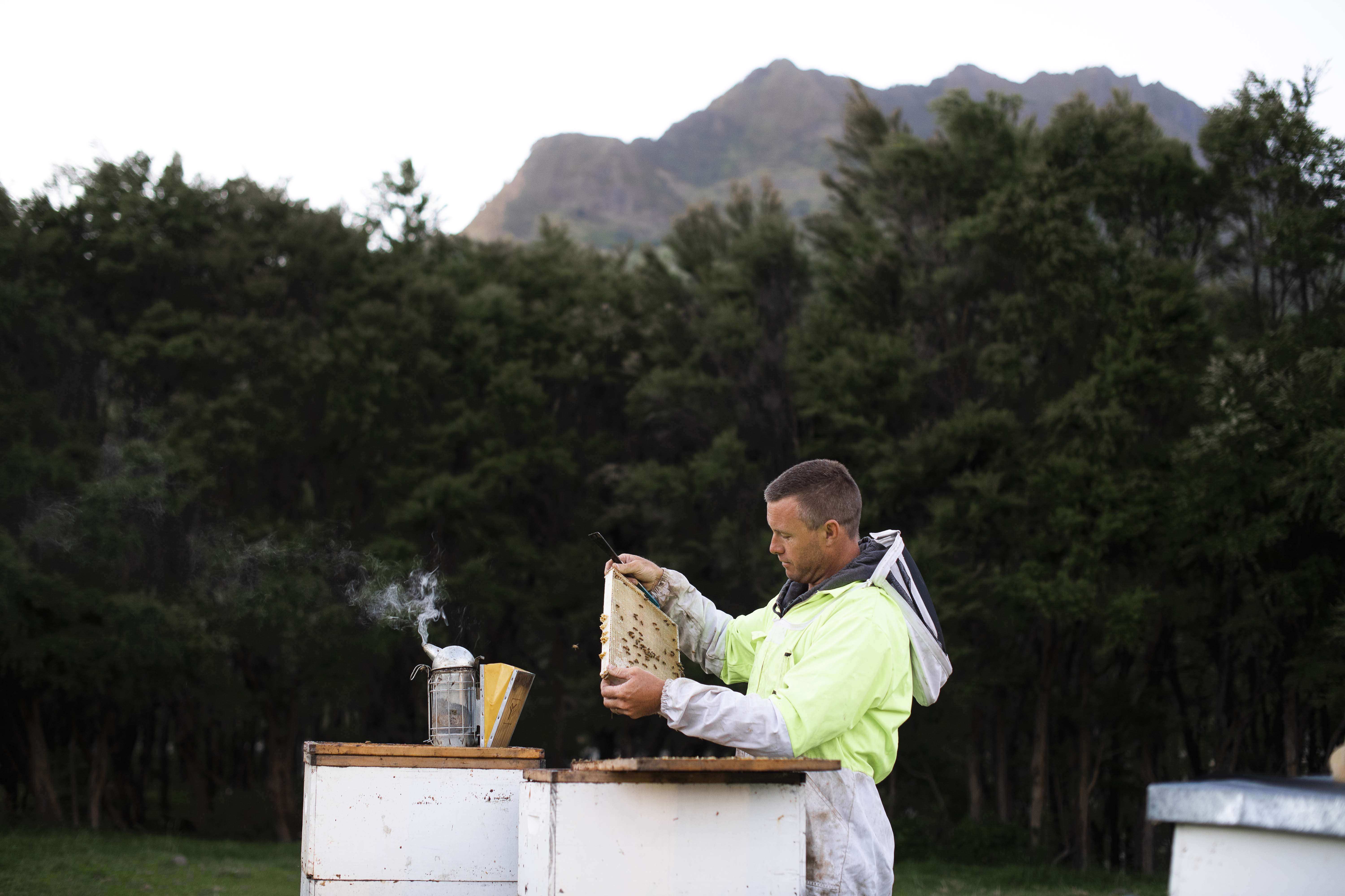 WE ARE KING BEES | King Bees Honey